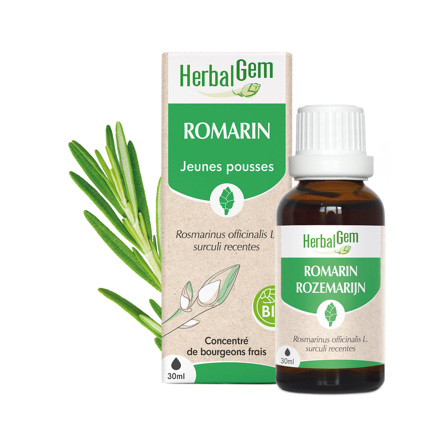 Bourgeon de Romarin - 30 ml Bio | Herbalgem