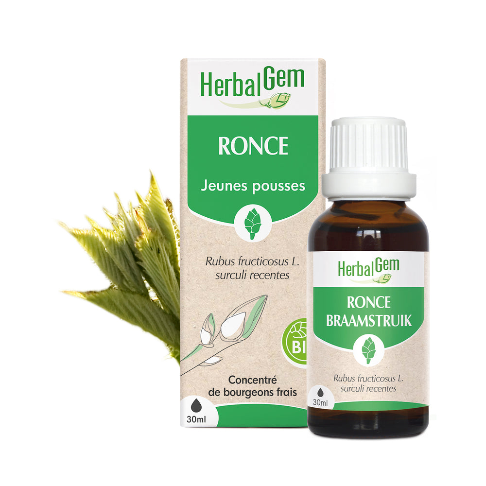 Bourgeon de Ronce - 30 ml Bio | Herbalgem
